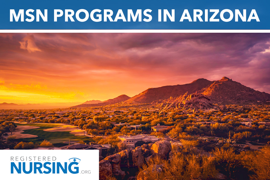 2026 Best MSN and RN-to-MSN Programs in Arizona