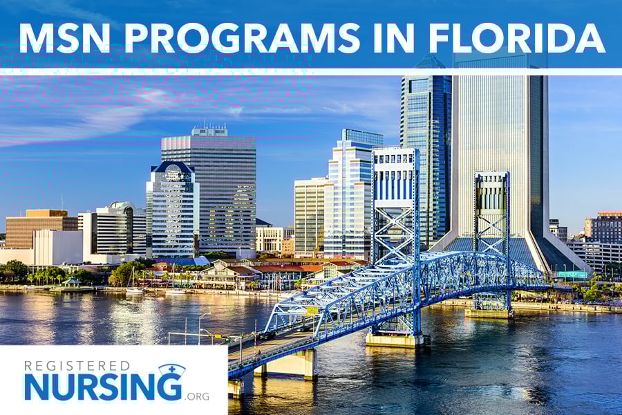 2025 Best MSN and RN-to-MSN Programs in Florida