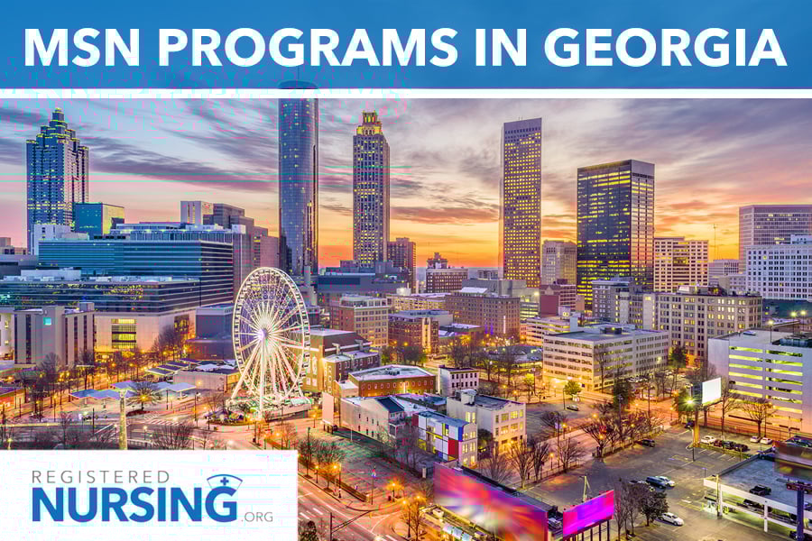 2025 Best MSN and RN-to-MSN Programs in Georgia