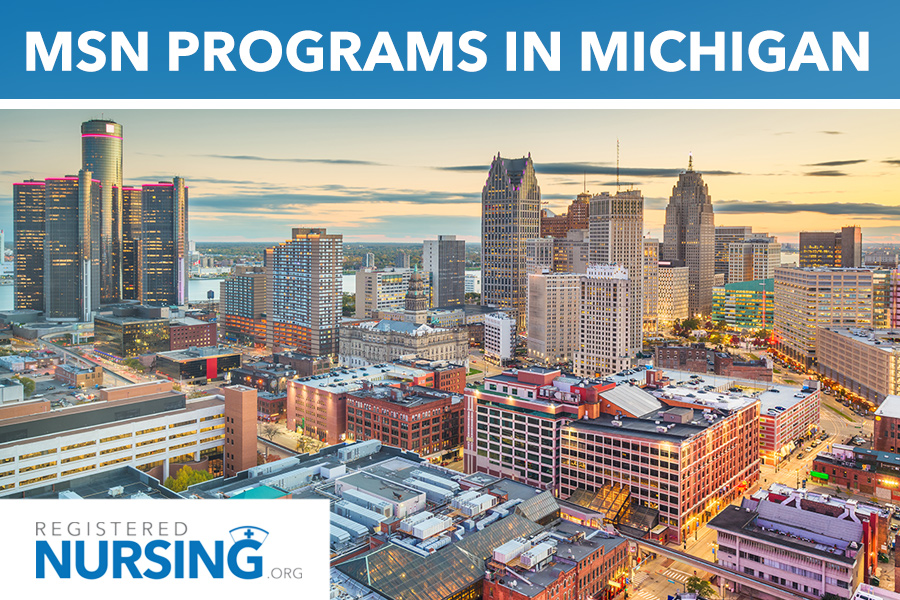 2025 Best MSN and RN-to-MSN Programs in Michigan