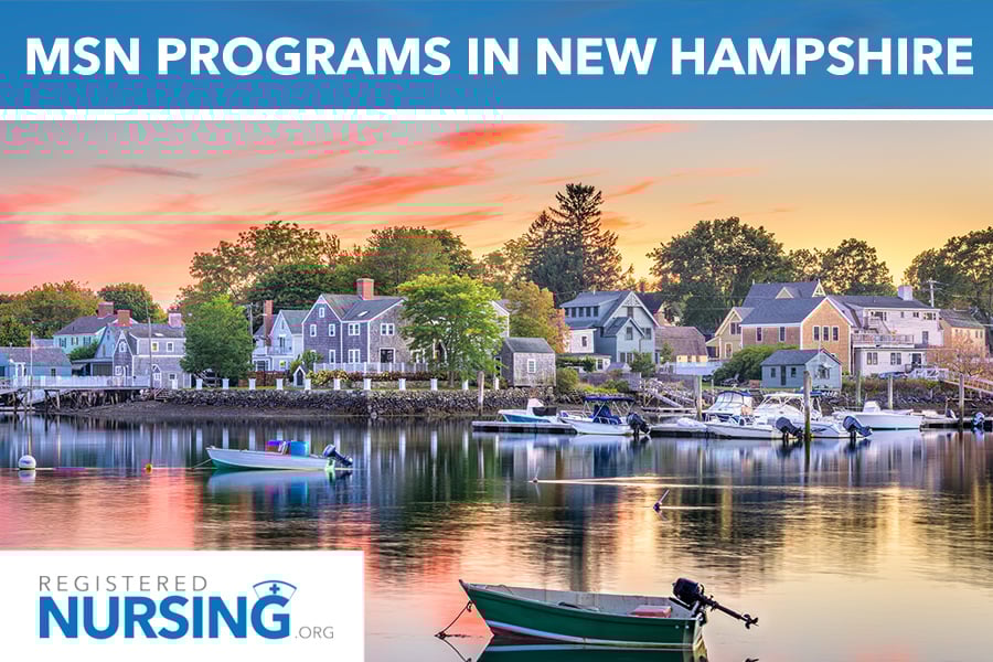 2025 Best MSN and RN-to-MSN Programs in New Hampshire