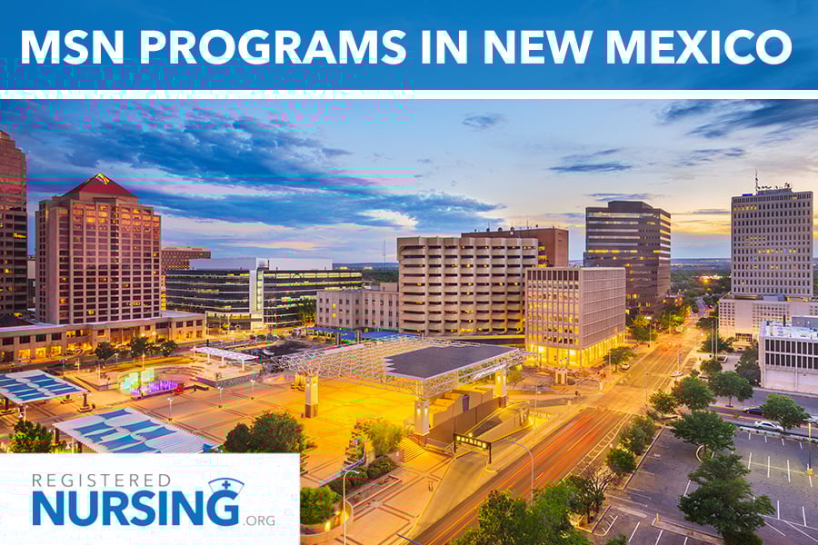 2026 Best MSN and RN-to-MSN Programs in New Mexico
