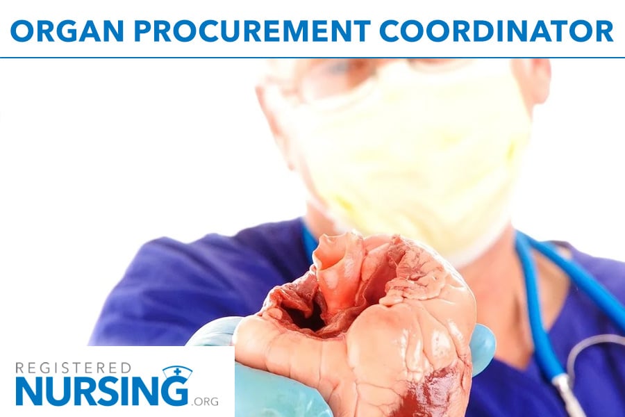 How to Become an Organ Procurement Coordinator - Schooling & Salary