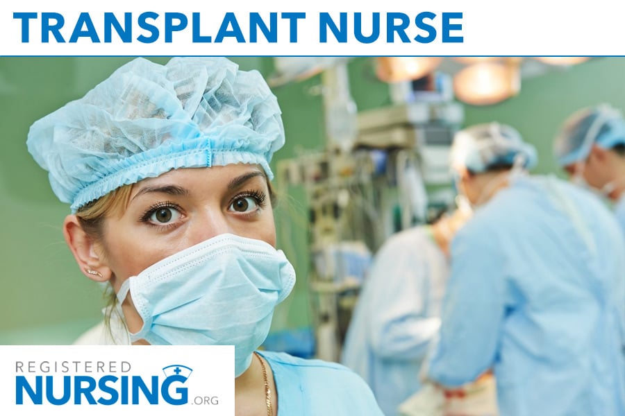 How to Become a Trauma Nurse - Schooling & Salary