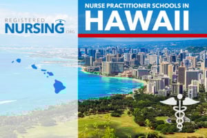 2026 Best Nurse Practitioner Programs in Hawaii (Online & Campus Ranked)