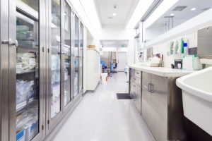 Nursing Schools in Albany, NY