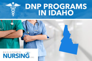 Best DNP Programs in Idaho Including Online & BSN to DNP Options