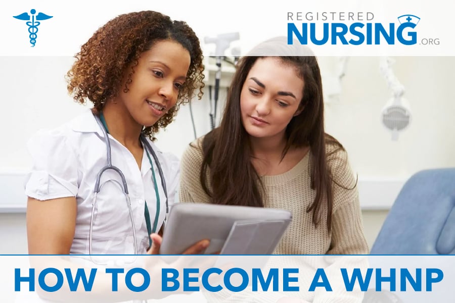 How To Become A Womens Health Nurse Practitioner Whnp