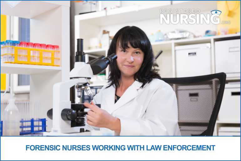 Forensic Nurses & Law Enforcement: What You Should Know